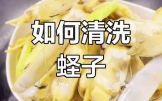 鲜蛏怎么清洗_鲜蛏的家常做法大全