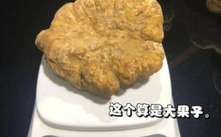 大s吃的白松露是什么_白松露价格为什么这么贵