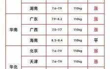 今日全国生猪价格多少钱一斤_近期猪价还会涨吗