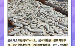 墨鱼骨多少钱一斤_墨鱼骨价格行情