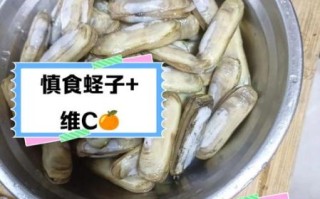 蛏子什么人不能吃_蛏子禁忌人群