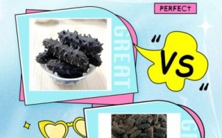 干海参多少钱一斤_干海参价格为什么差别大