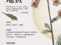 生地黄的功效与作用_生地黄怎么吃效果最好