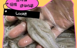 八爪鱼怎么杀_八爪鱼怎么清洗