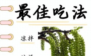 新鲜核桃花怎么吃_核桃花有什么营养价值