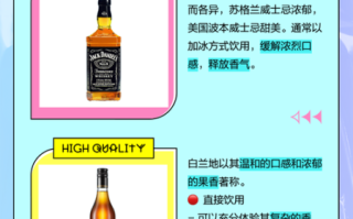 新手喝威士忌还是白兰地_口感区别与入门建议