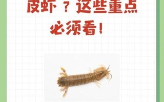 吃皮皮虾的禁忌_哪些人不能吃