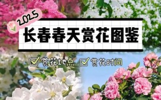 春天开的花有哪些图片_春季赏花攻略