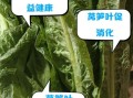 莴笋叶能生吃吗_生吃莴笋叶安全吗