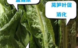 莴笋叶能生吃吗_生吃莴笋叶安全吗