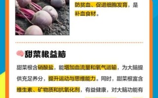 甜菜根怎么吃_甜菜根的功效与作用