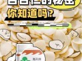 苦杏仁能吃吗_苦杏仁怎么吃才安全