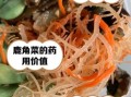 鹿角菜用焯水吗_鹿角菜焯水多久