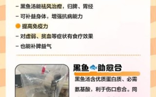 黑鱼汤的功效与作用_黑鱼汤适合什么人喝