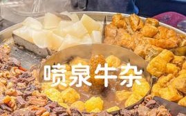 喷泉牛杂加盟多少钱_喷泉牛杂加盟费用明细