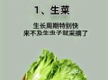 医生都不吃的三种蔬菜_真相是什么