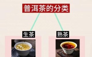 普洱茶的功效与作用_长期喝普洱茶有哪些好处