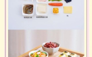 三岁半宝宝每日三餐吃什么_如何科学搭配营养