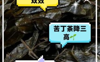 苦丁茶的功效与作用_苦丁茶能减肥吗