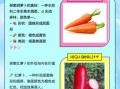 红萝卜和胡萝卜的区别_哪个更有营养