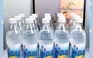 盐汽水的功效与作用_运动后喝盐汽水好吗