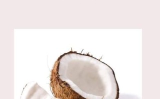 海底椰与什么相克_食用禁忌全解析