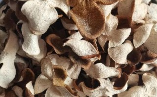 新会陈皮多少钱一斤_新会陈皮怎么保存