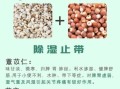 薏米能减肥吗_薏米的功效与作用及禁忌