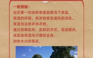 中暑了头疼恶心怎么恢复_中暑头疼恶心吃什么药