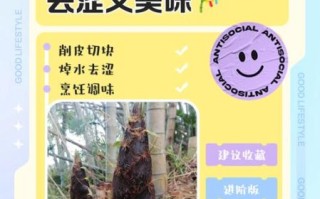 鲜笋怎么处理_鲜笋去涩味最快方法