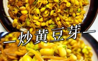 长的黄豆芽怎么做好吃_黄豆芽炒多久才脆嫩