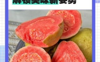 芭乐怎么吃图解_芭乐怎么切不脏手