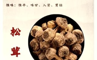 吃松茸的禁忌食物_哪些不能同吃