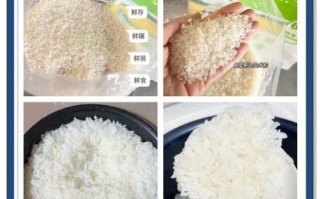 一份盖饭的热量_减肥能吃盖饭吗