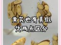 黄芪图片大全_如何辨别真假黄芪