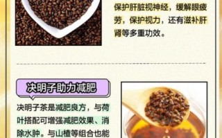 菊花决明子枸杞牛蒡根的功效与禁忌_适合长期喝吗