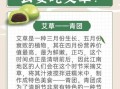 青团是什么节日吃的_青团在清明节的意义