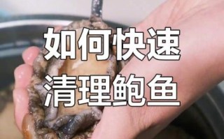 鲍鱼怎么杀_鲍鱼清洗去内脏步骤