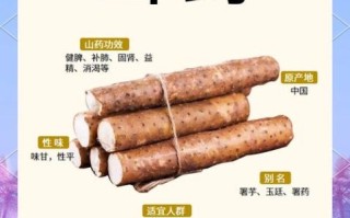 白山药的功效与作用_白山药怎么吃效果最好