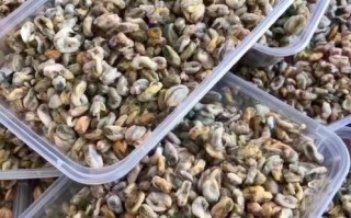 海瓜子肉怎么炒好吃_海瓜子肉的做法大全