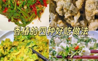 香椿怎么做好吃_香椿做法大全及图片