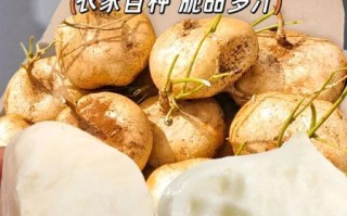 白地瓜怎么炒好吃_白地瓜的做法大全家常