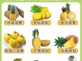 菠萝和凤梨是一种水果吗_区别在哪里