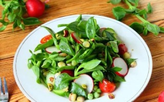 穿心莲怎么吃_穿心莲做法大全