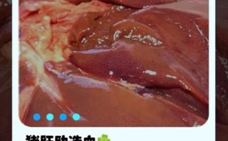 猪肝补血吗_吃猪肝多久见效