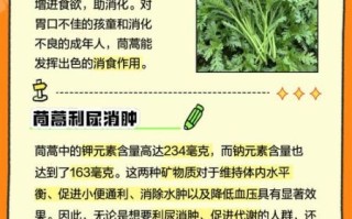 茼蒿的功效与作用_茼蒿的禁忌有哪些