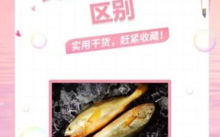 黄鱼和黄花鱼哪个更贵_价格差异原因