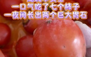 柿子吃多了会得结石吗_吃柿子结石风险真相