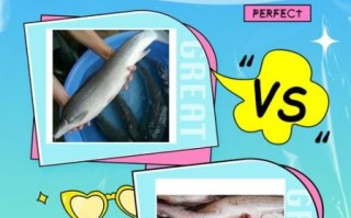 鳕鱼是海鱼还是淡水鱼_鳕鱼生活在哪里