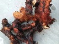 骨碎补治腰间盘突出配方_真的有效吗